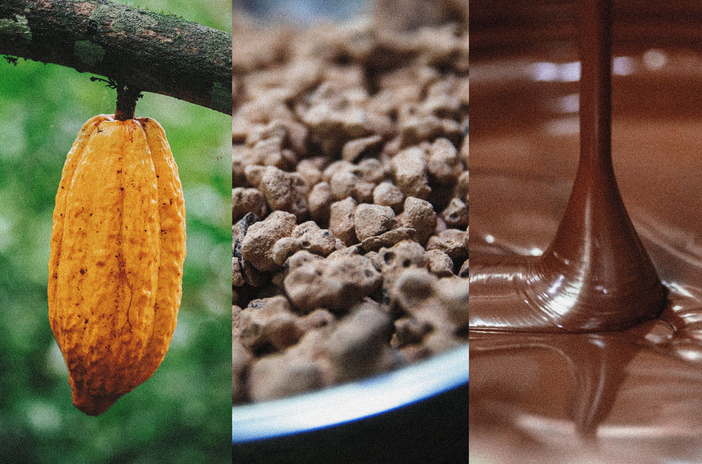 The Future of Chocolate: 9 Ways To'ak is Revolutionizing the Chocolate ...