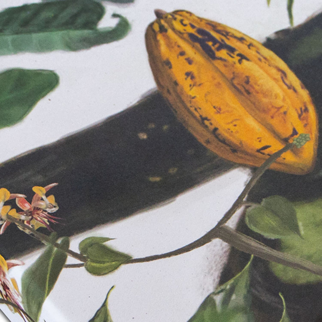 Gift Wrapping Service – To'ak Chocolate