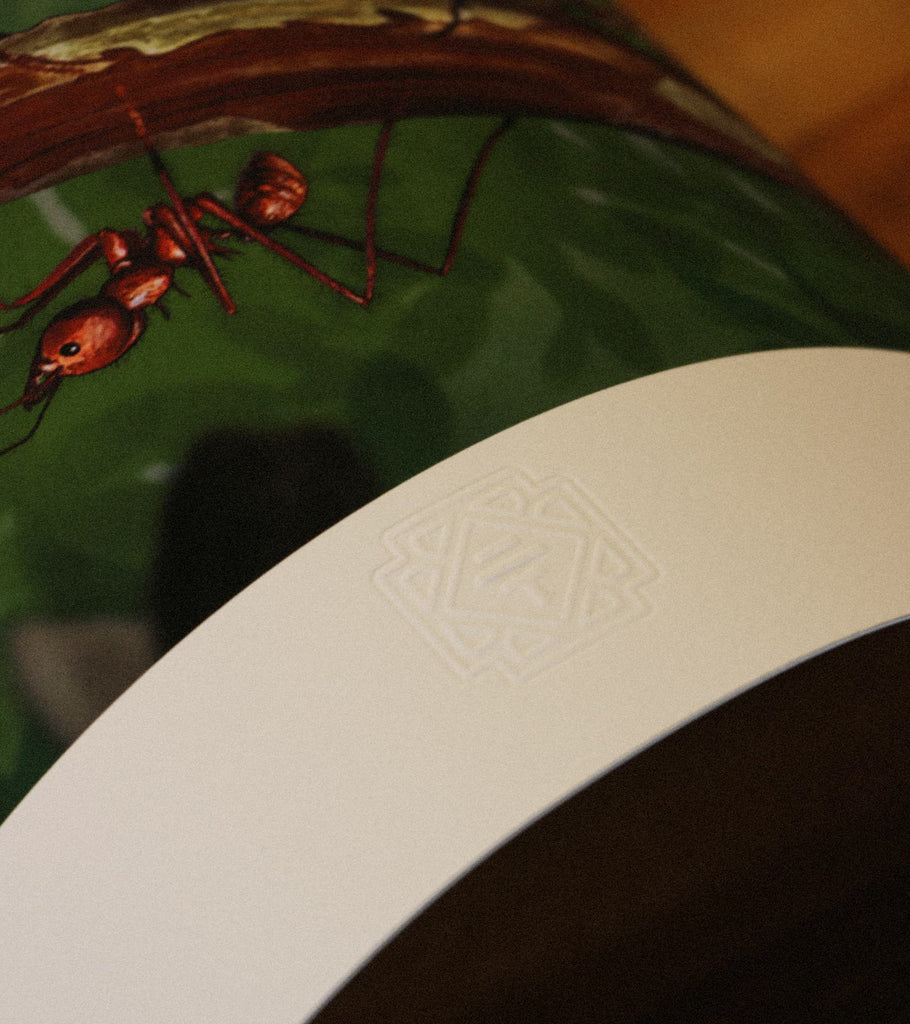 Fine Art Print - Amazonian Ants – To'ak Chocolate